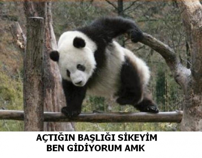 31 yaşında 31 çekmek normal mi sorunsalı #1684859 - uludağ sözlük galeri