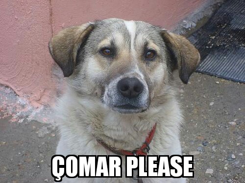 philips airfryer vs xiaomi airfryer - ekşi sözlük