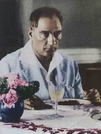 atatürk vs serkan inci - uludağ sözlük