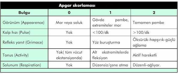 apgar skorlaması - uludağ sözlük