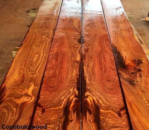 sayfa bulunamadı - uludağ sözlük galeri