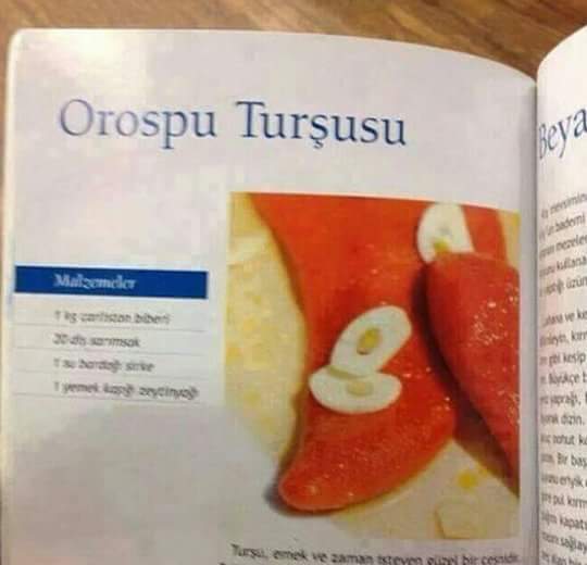 orospu turşusu - uludağ sözlük