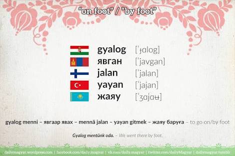 macarca #1545092 - uludağ sözlük galeri