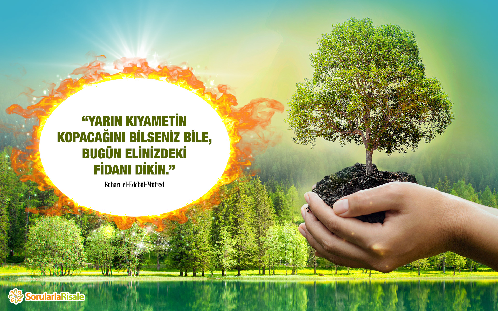 fidan - uludağ sözlük