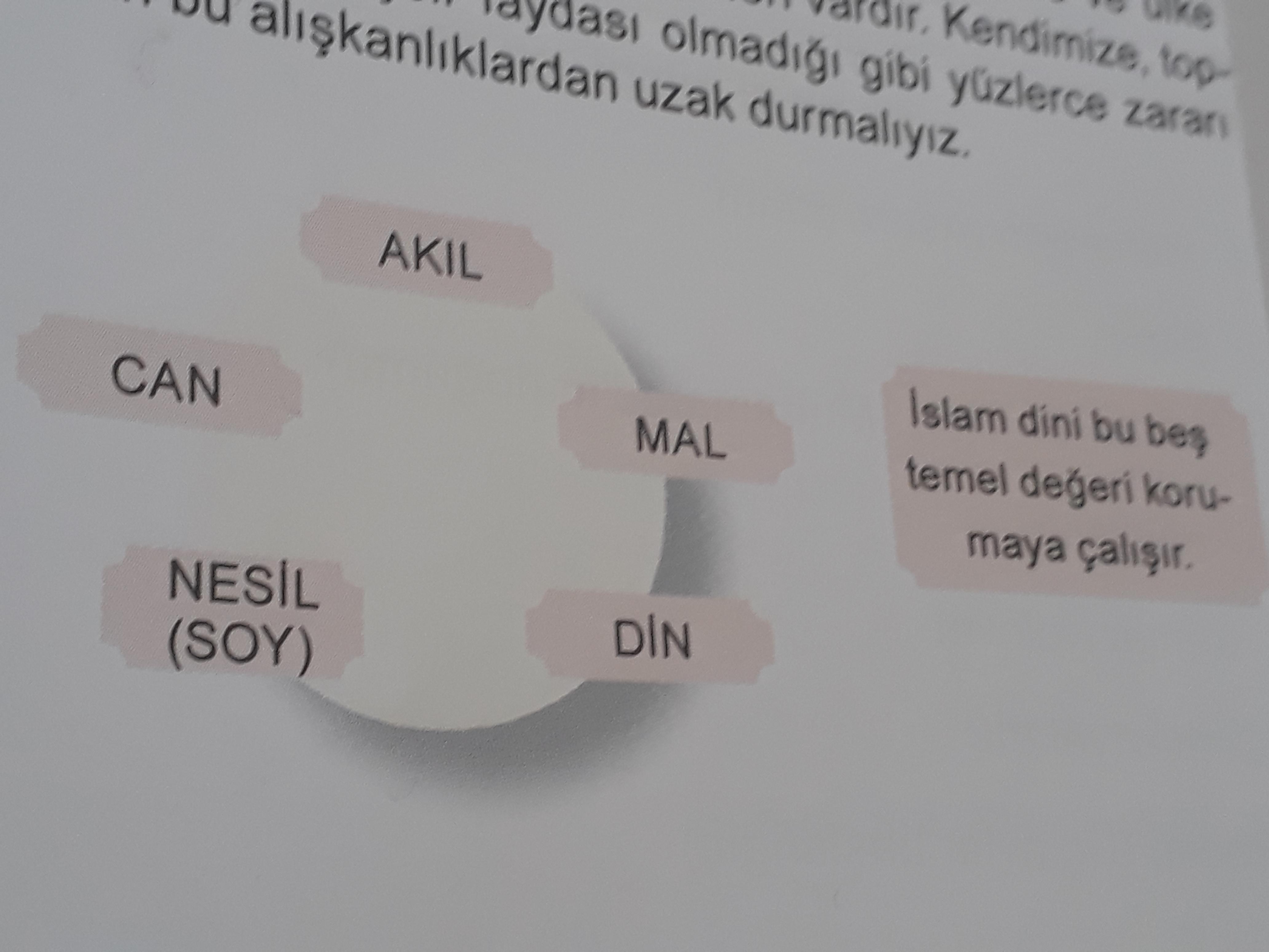 5 temel deger #1687474 - uludağ sözlük galeri